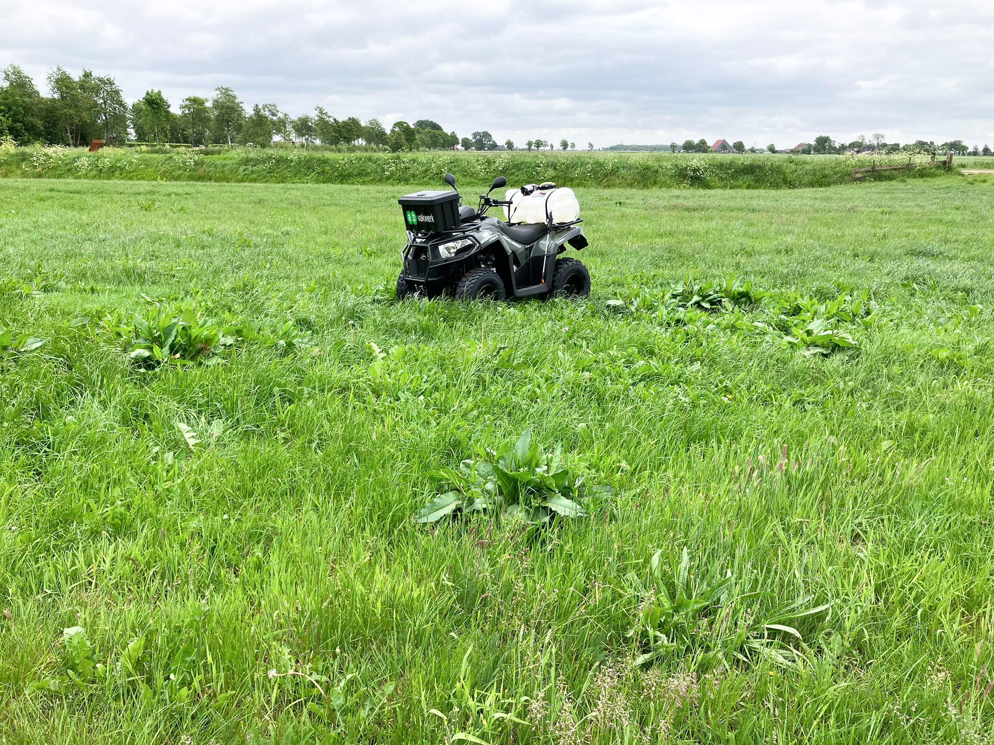 Ridderzuring: Voorkom onnodig verlies | AB Vakwerk